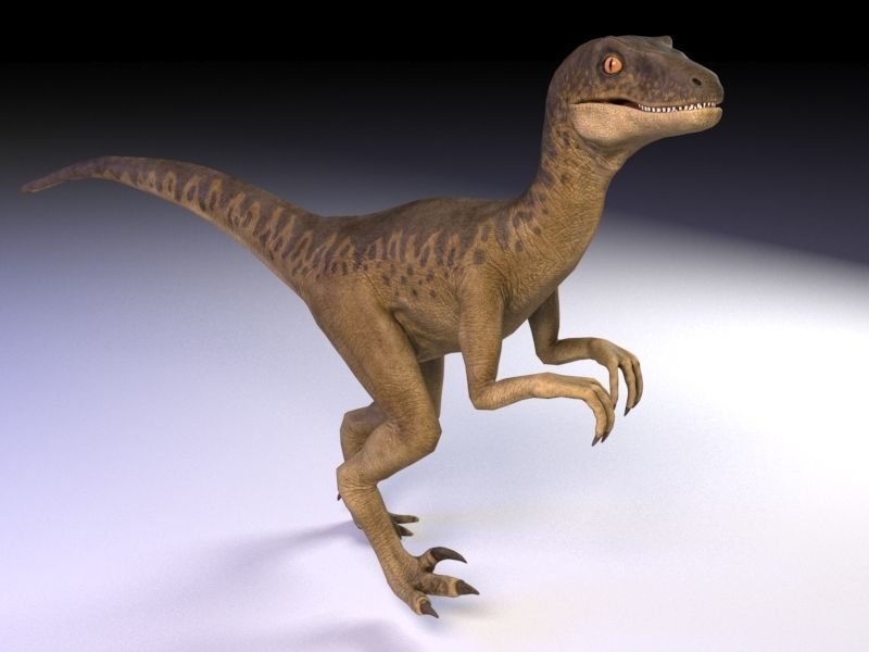 3D model Raptor 3d lowpoly model rigged VR / AR / low-poly | CGTrader