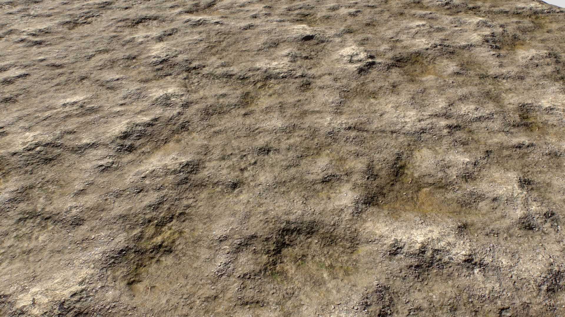 Arid and rough terrain set Texture | CGTrader