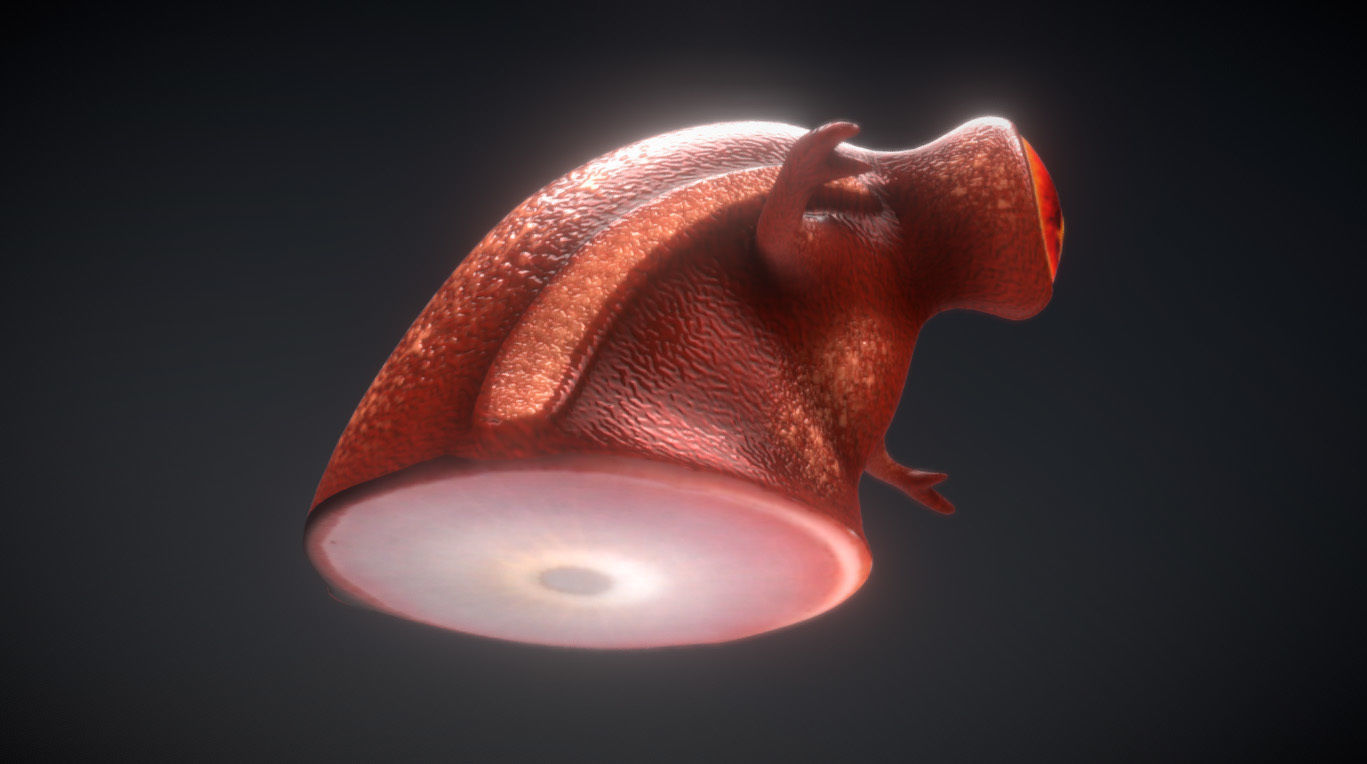 Leech creature with orange eye free VR / AR / low-poly 3D model | CGTrader
