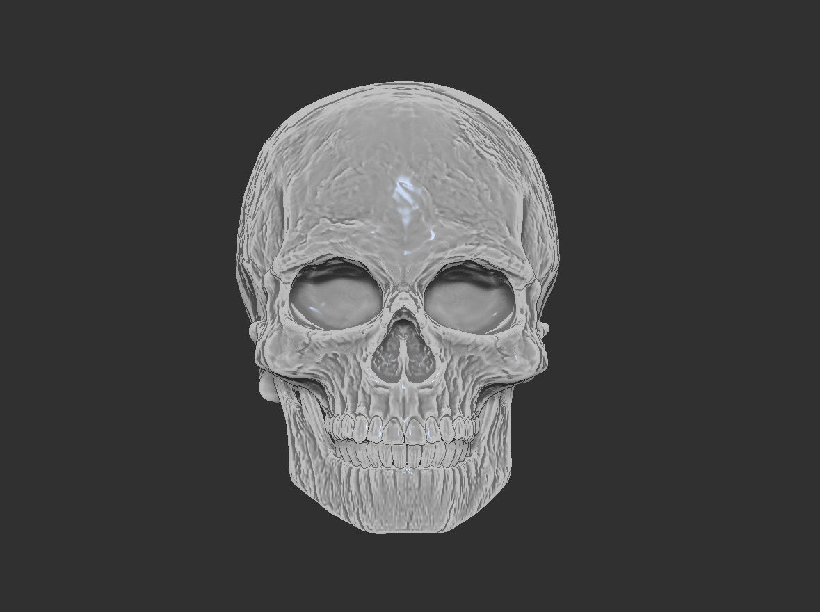 Skull 3D print model 3D model | CGTrader
