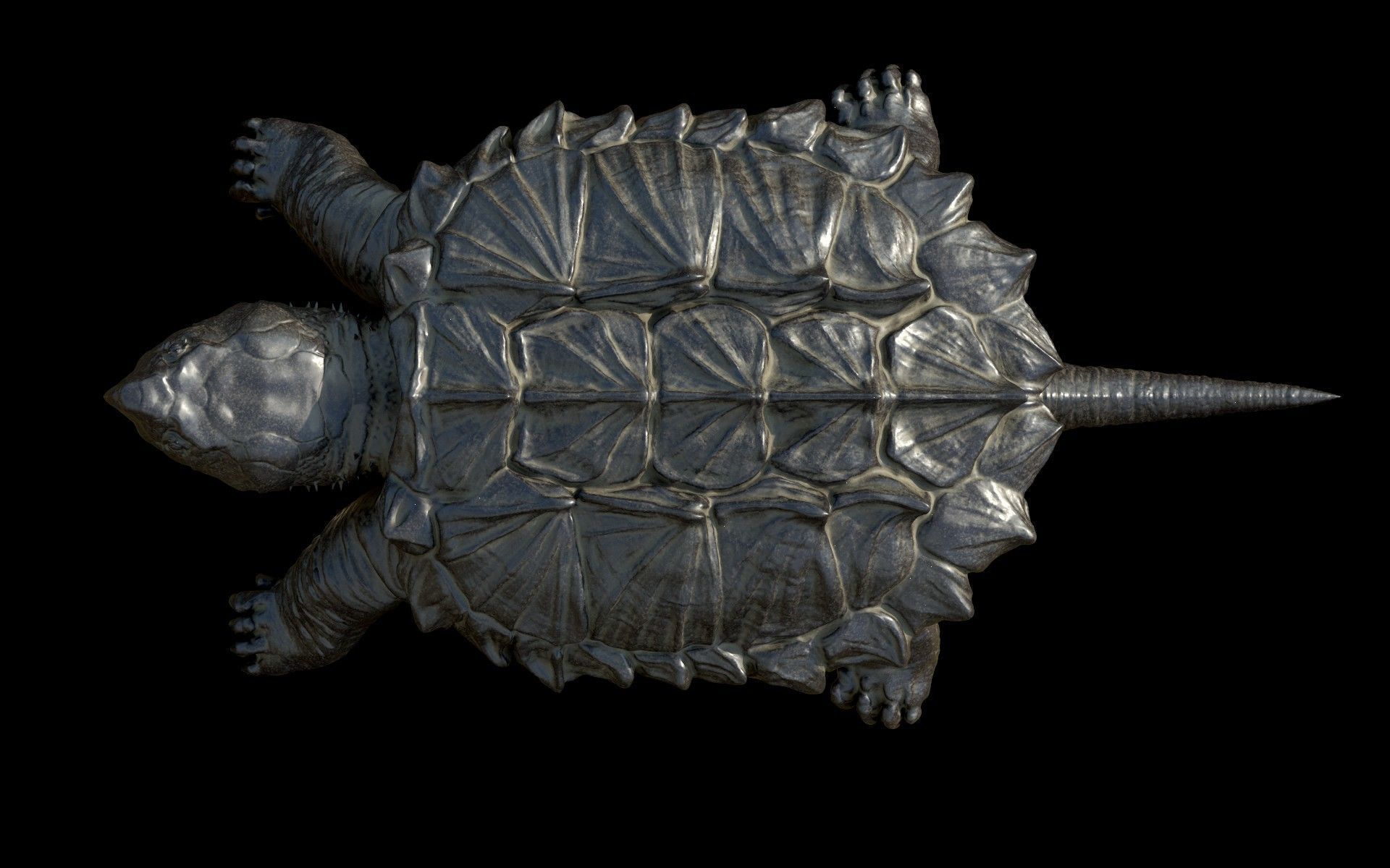Alligator snapping turtle 3D model 3D printable | CGTrader