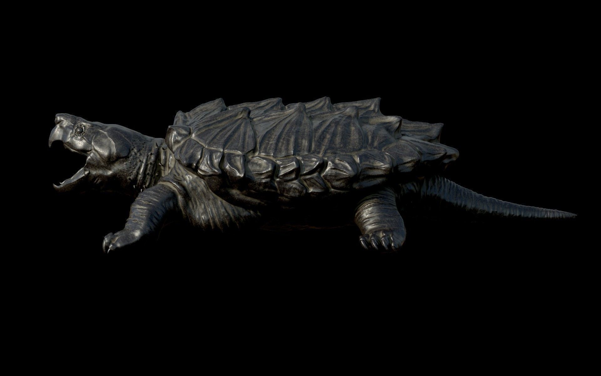 Alligator snapping turtle 3D model 3D printable | CGTrader
