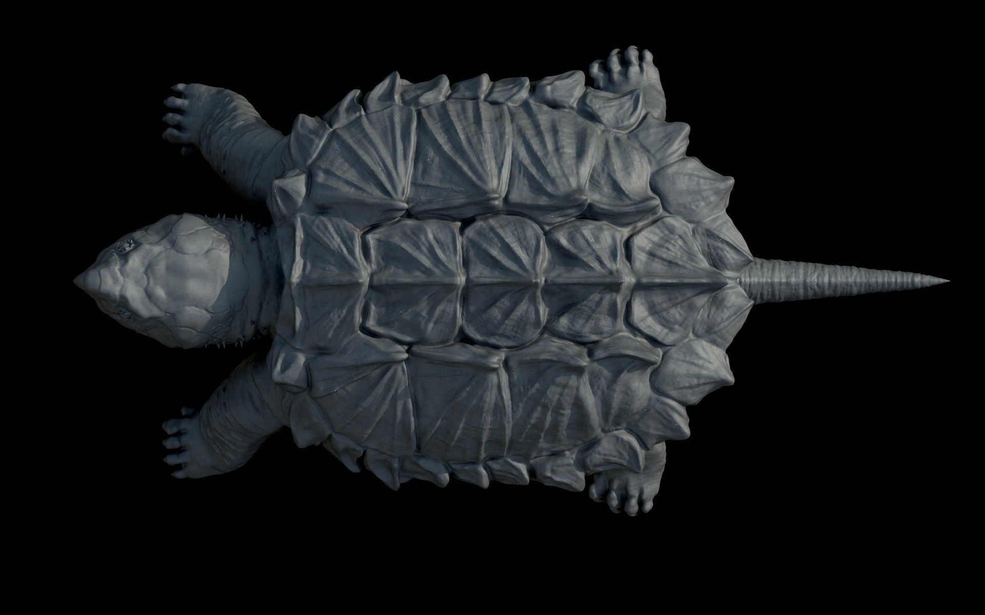 Alligator snapping turtle 3D model 3D printable | CGTrader