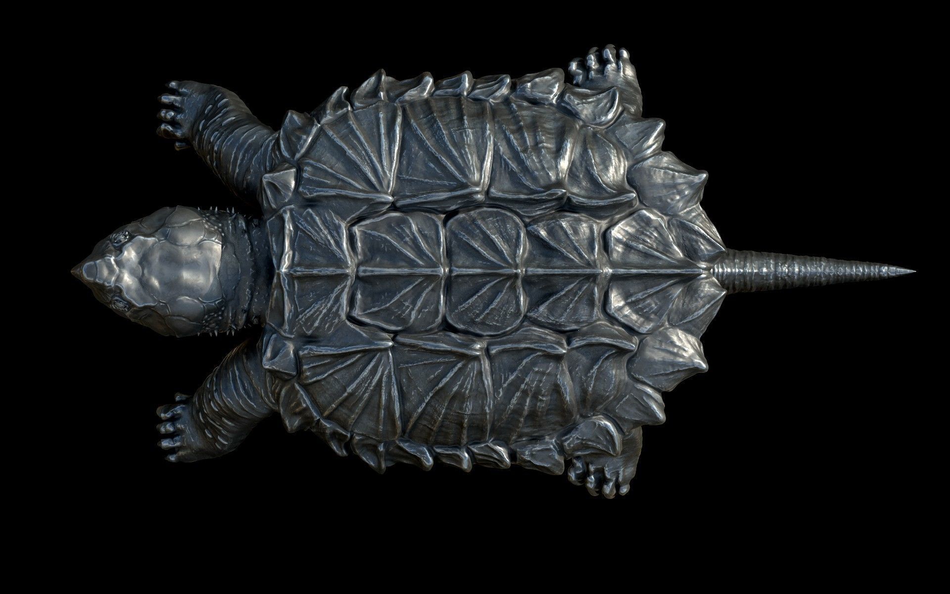 Alligator snapping turtle 3D model 3D printable | CGTrader