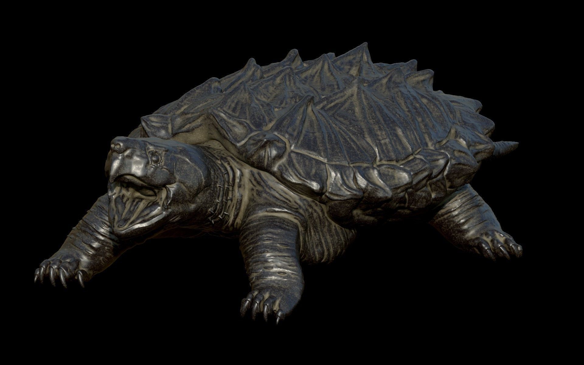 Alligator snapping turtle 3D model 3D printable | CGTrader