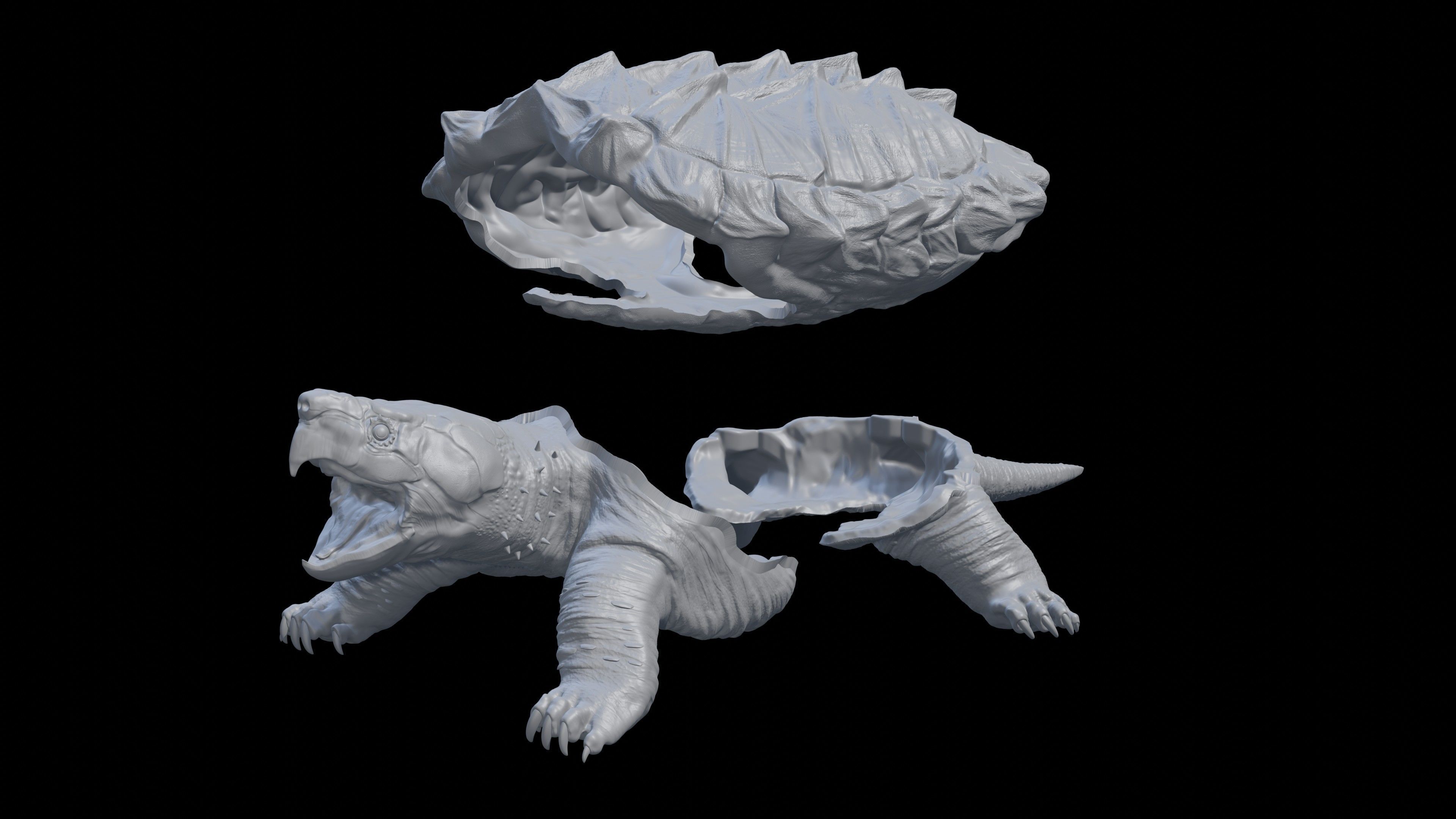 Alligator snapping turtle 3D model 3D printable | CGTrader