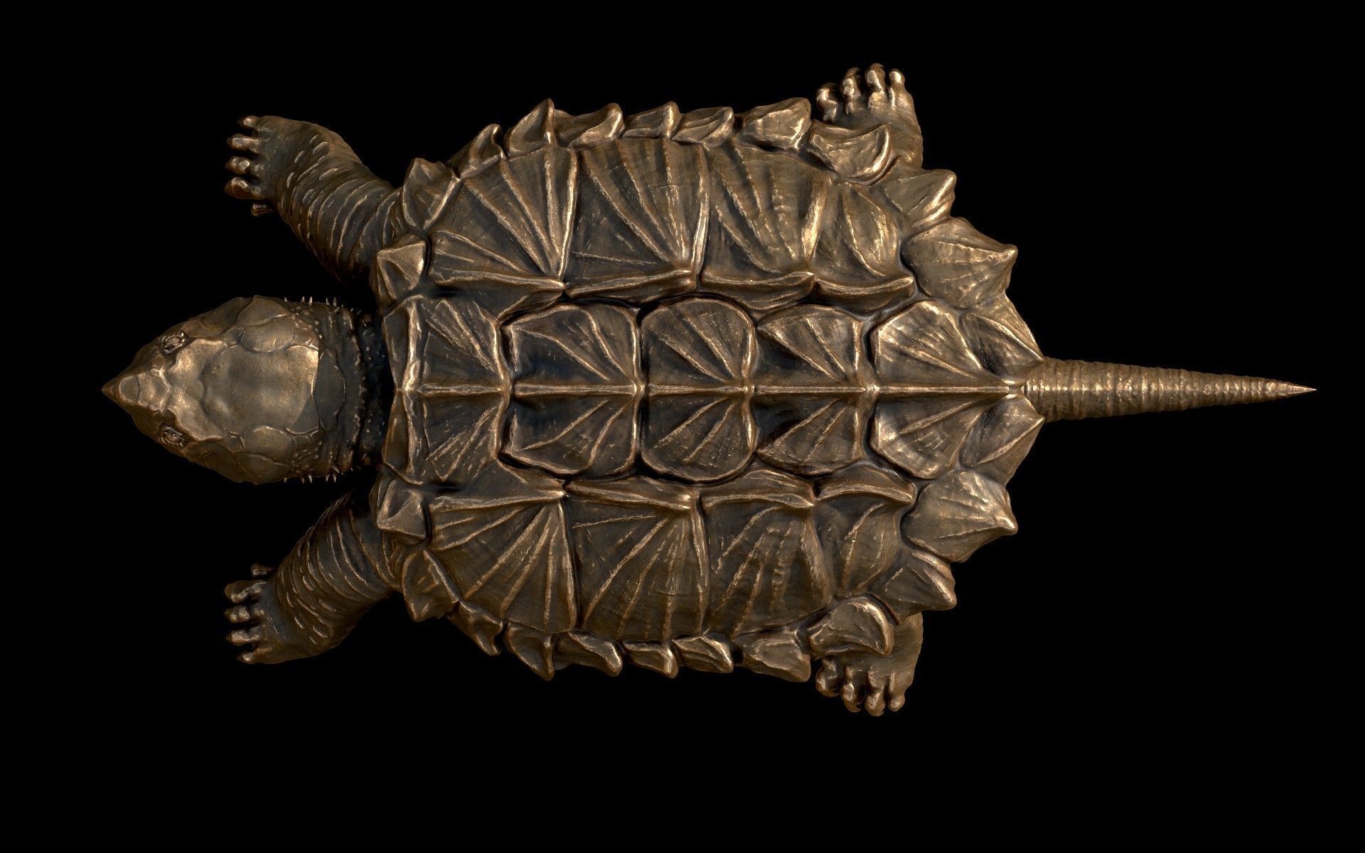 Alligator snapping turtle 3D model 3D printable | CGTrader