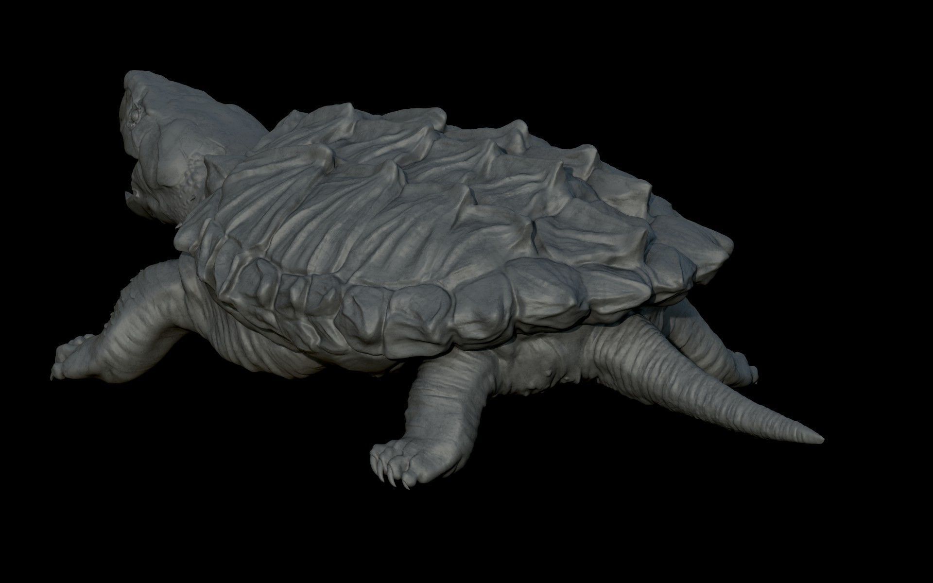Alligator snapping turtle 3D model 3D printable | CGTrader
