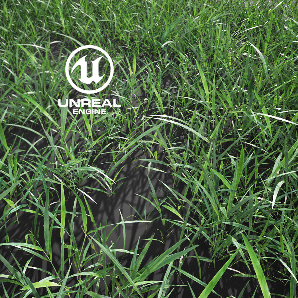 3D model Realistic Grass 10 - UE4 Asset and FBX Files VR / AR / low ...