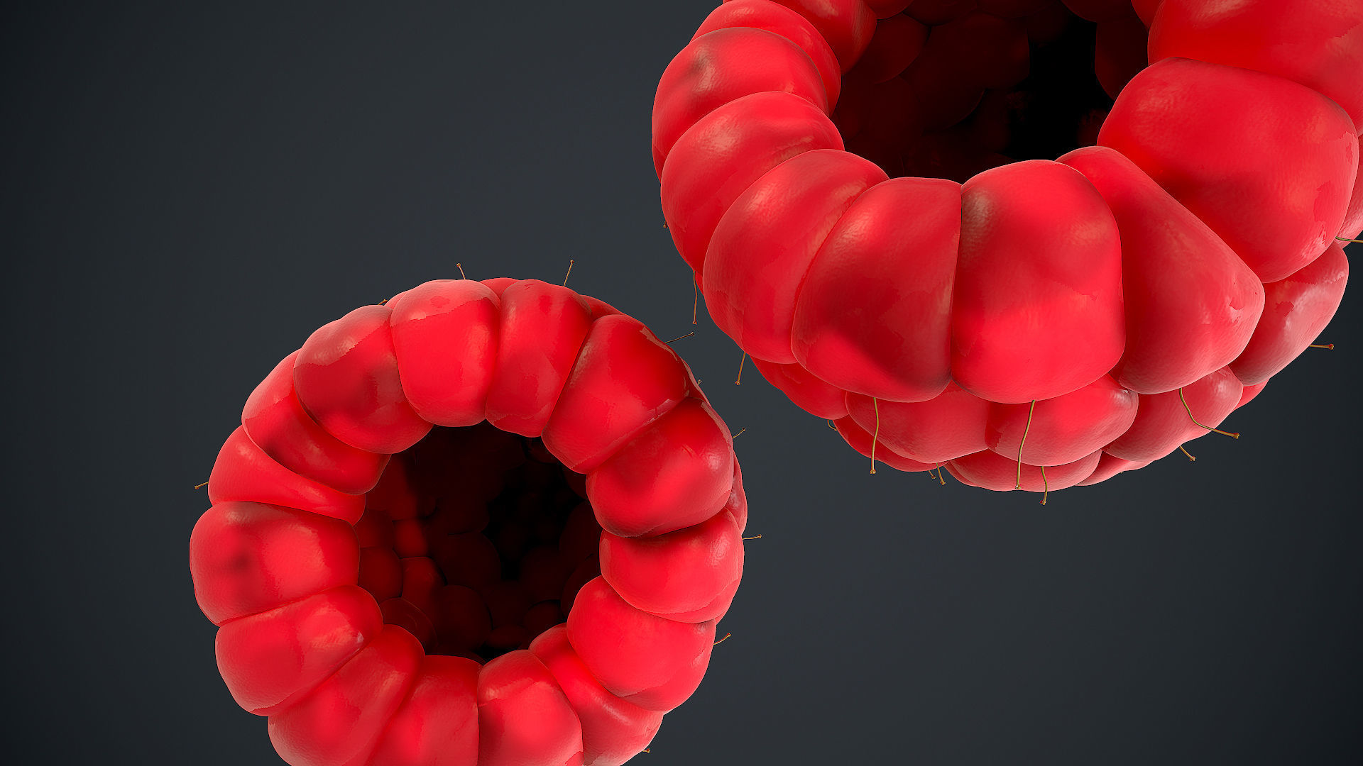 GRAPE - RASPBERRY - ORANGE HIGH DETAIL 3D model | CGTrader