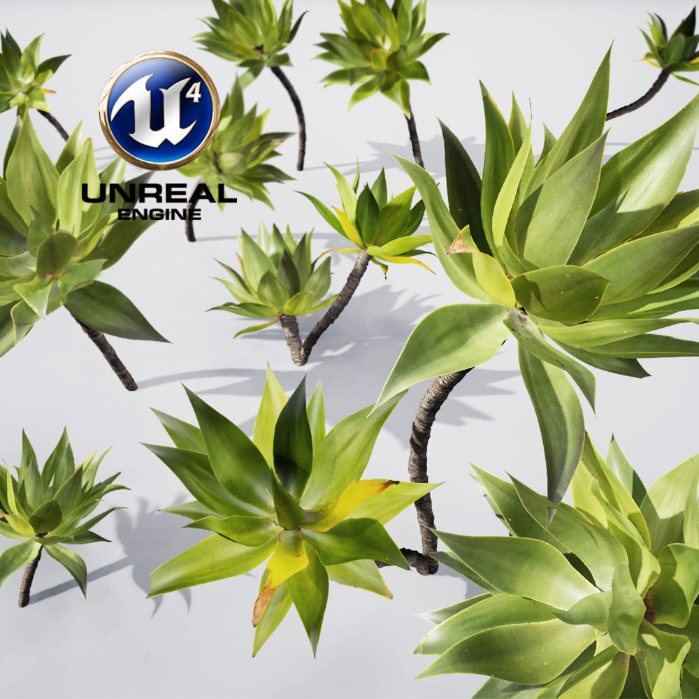 3D model Realistic Plants 19 - UE4 Asset and FBX Files VR / AR / low ...