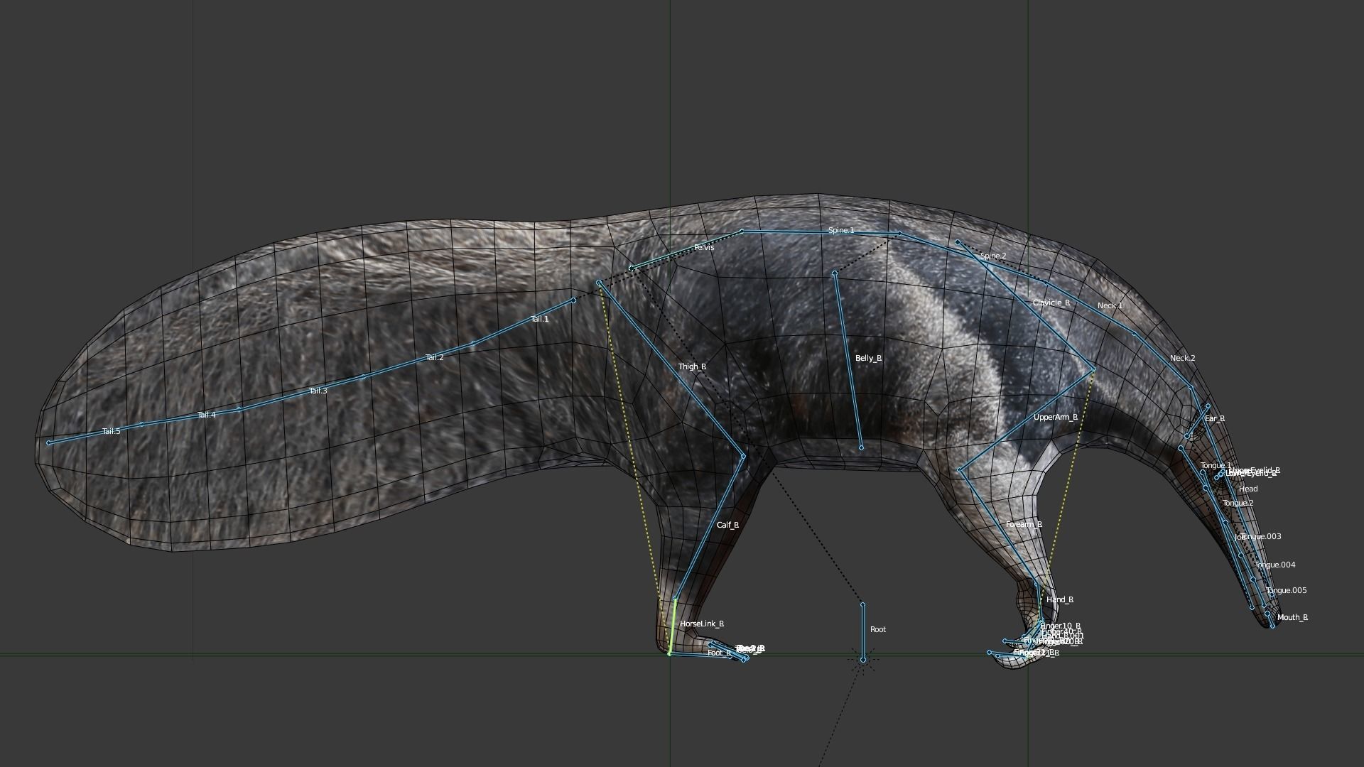 3D model Giant anteater VR / AR / low-poly rigged animated | CGTrader
