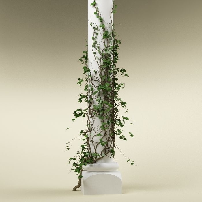 Plant and column 01 3D model | CGTrader
