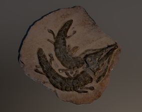 Animated Fossil 3D Models | CGTrader