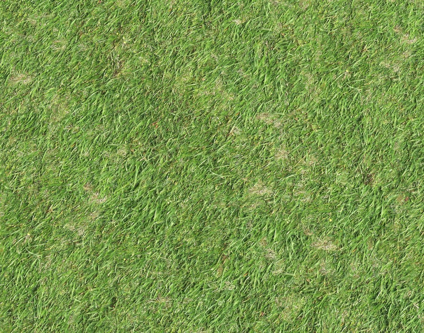 Grass terrain 13 Texture | CGTrader