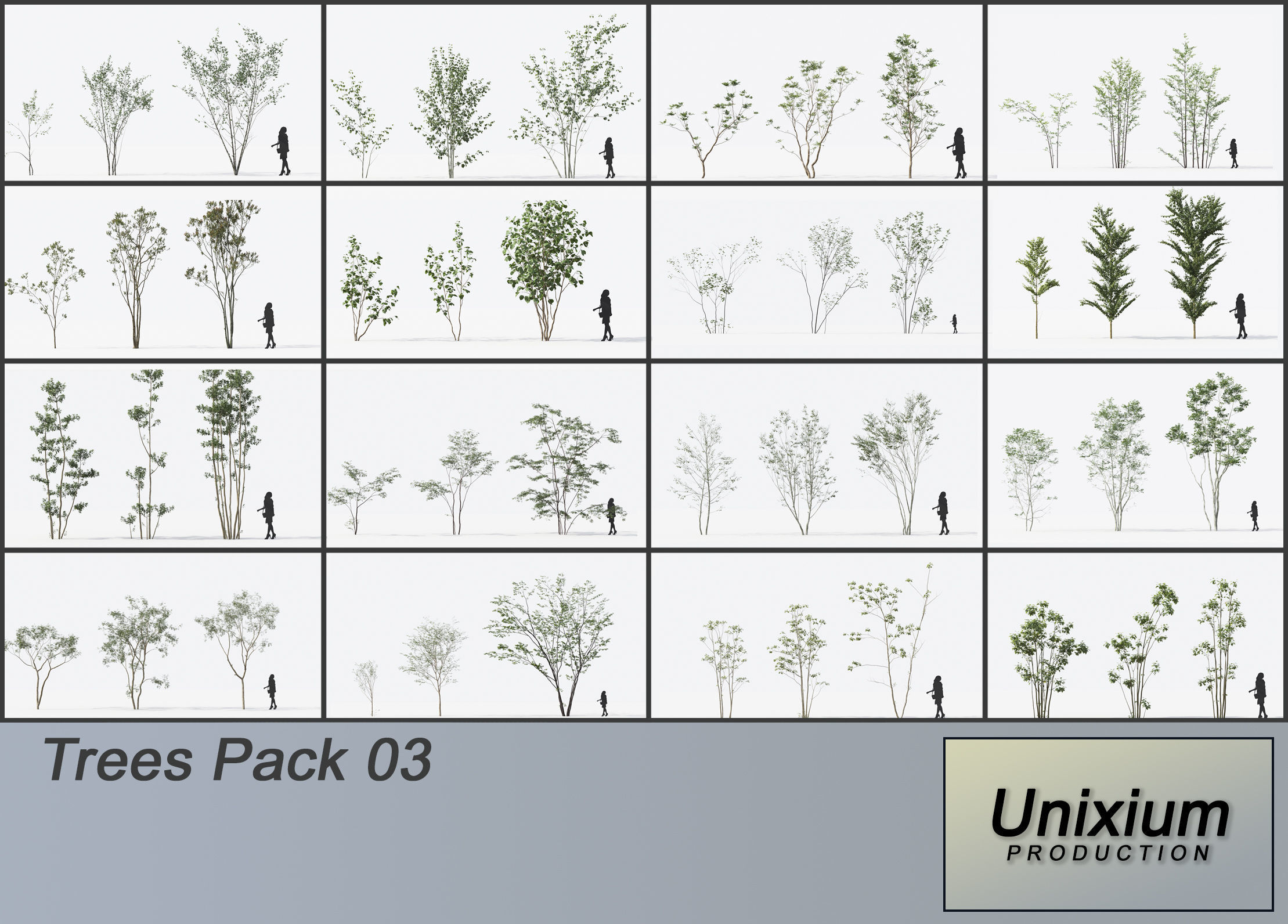 Trees - Pack 2 3D model | CGTrader