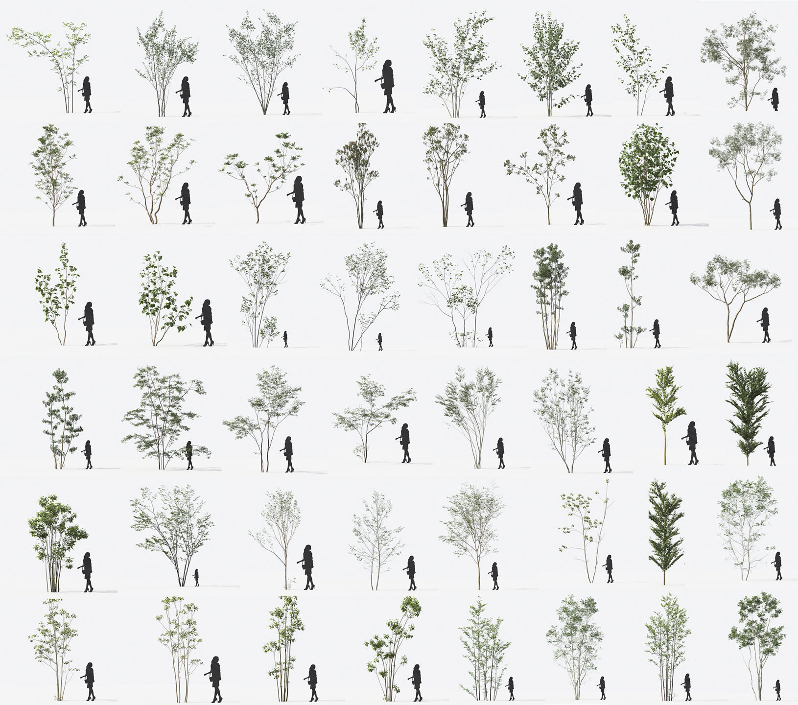 Trees - Pack 2 3D model | CGTrader