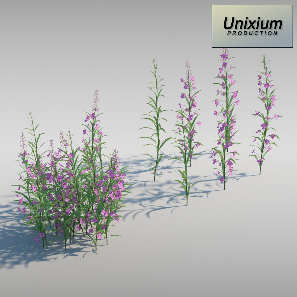 Vegetation - Pack 1 3D model | CGTrader