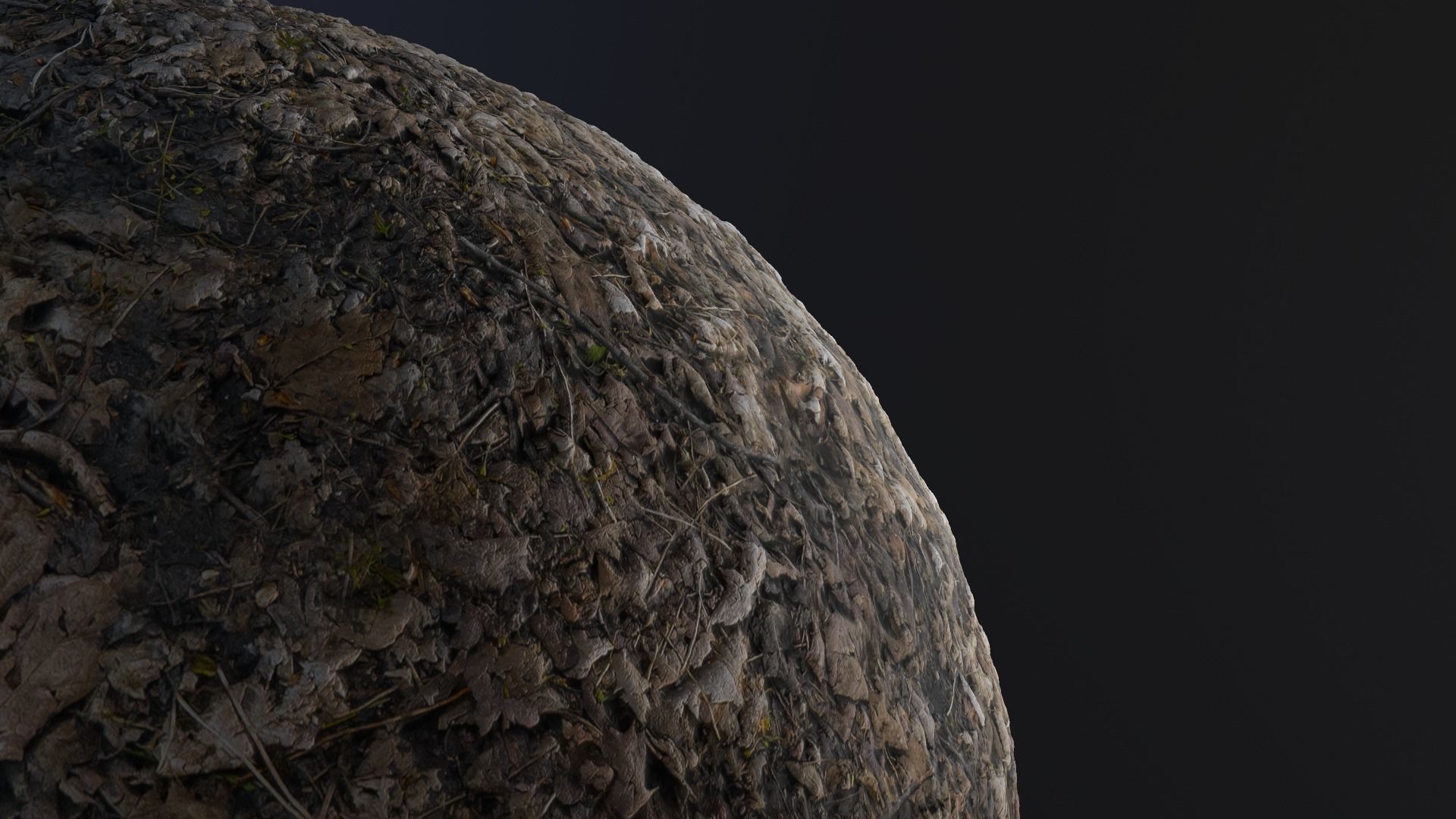Ground Leaves Forest - PBR Texture | CGTrader