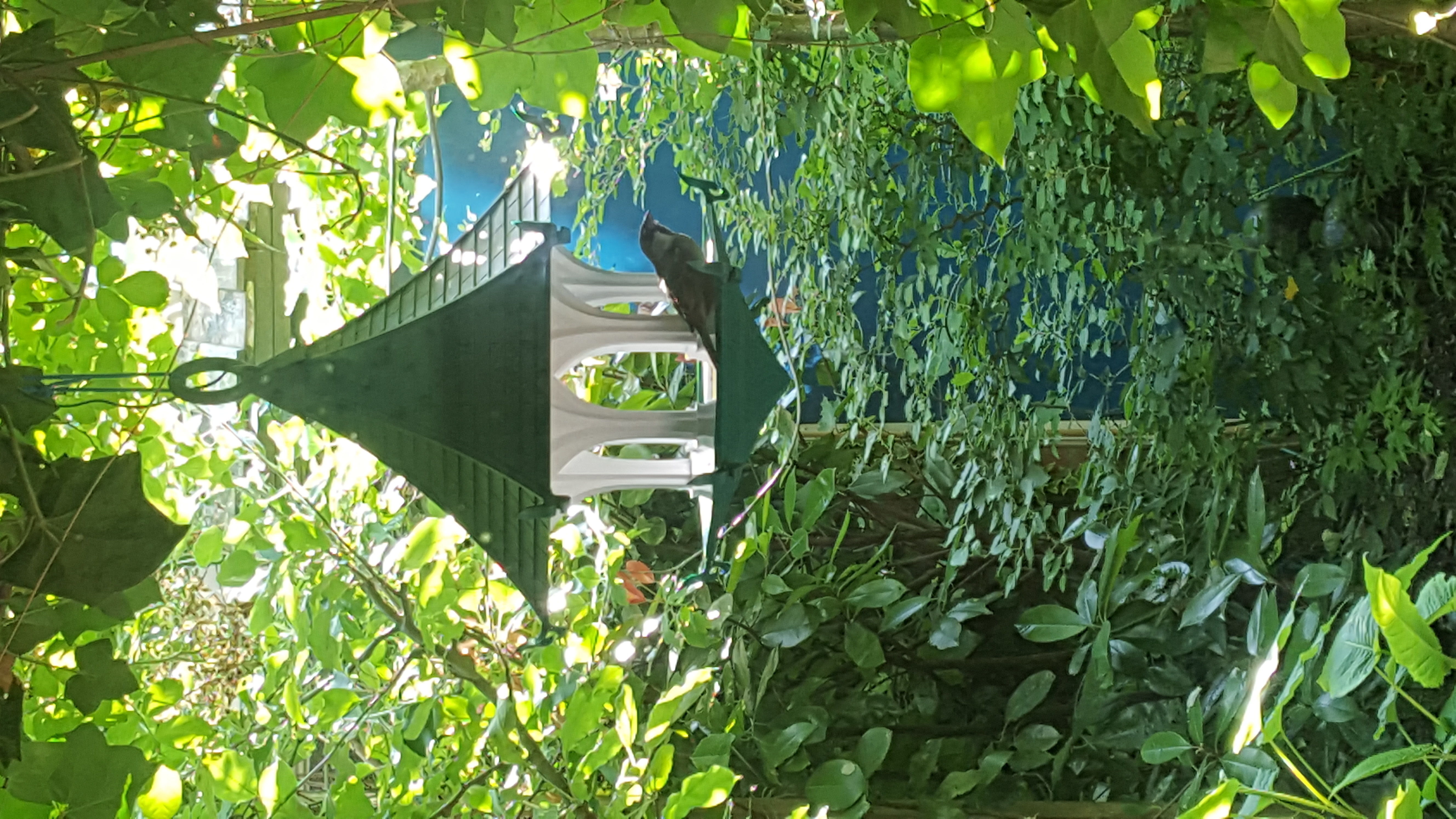 Light Bird Temple free 3D model 3D printable | CGTrader