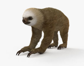 Sloth 3D Models | CGTrader