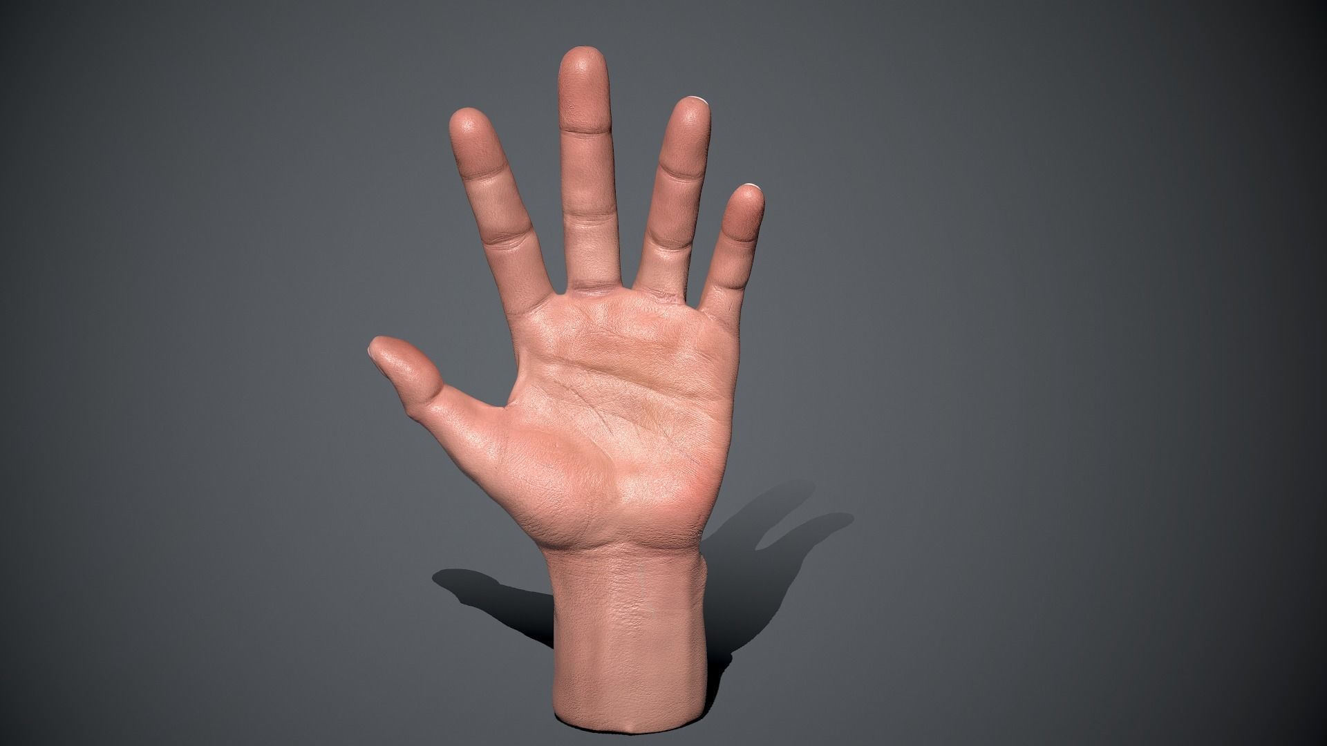 3D model Hand Studio Pack AR VR Compatible for Unreal Engine or Unity ...