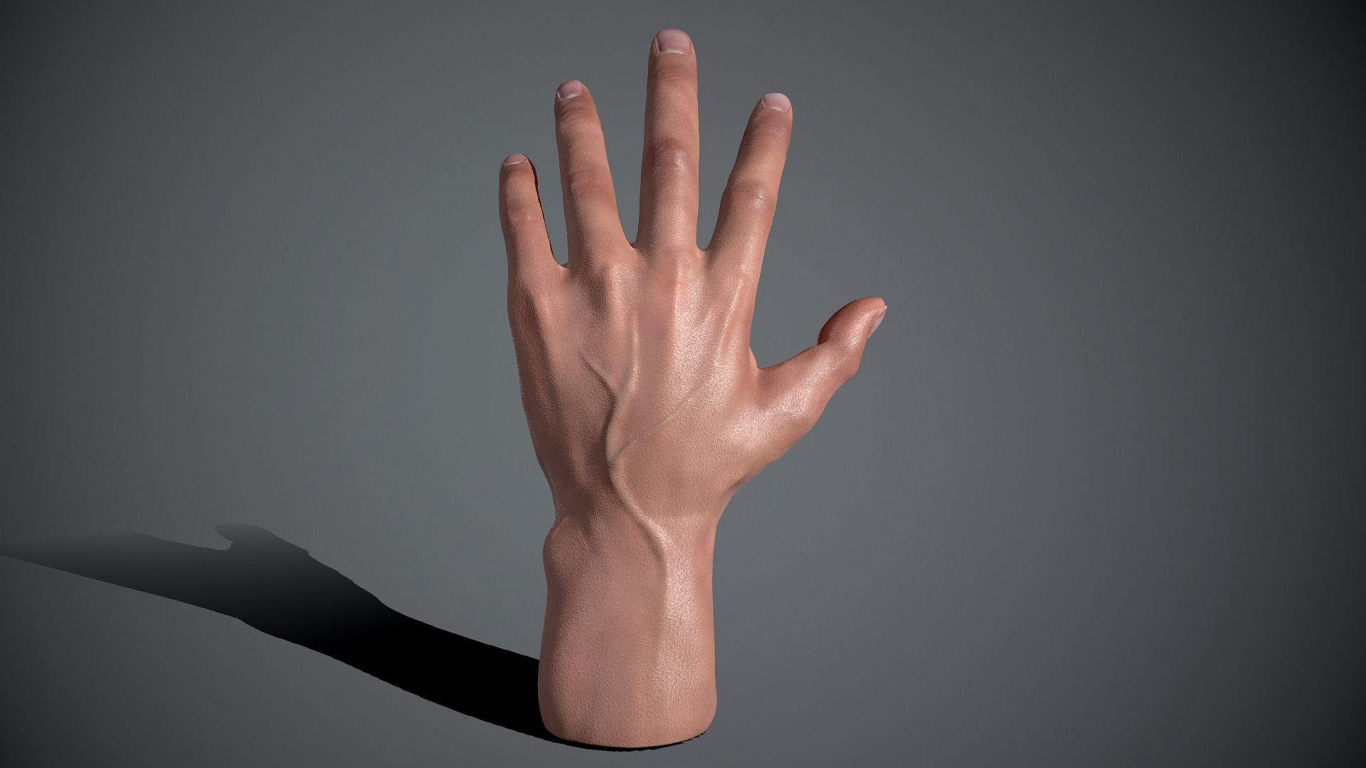 3D model Hand Studio Pack AR VR Compatible for Unreal Engine or Unity ...