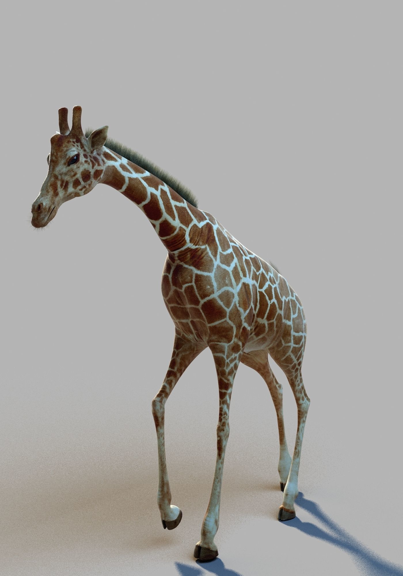 Giraffe 3D model rigged | CGTrader