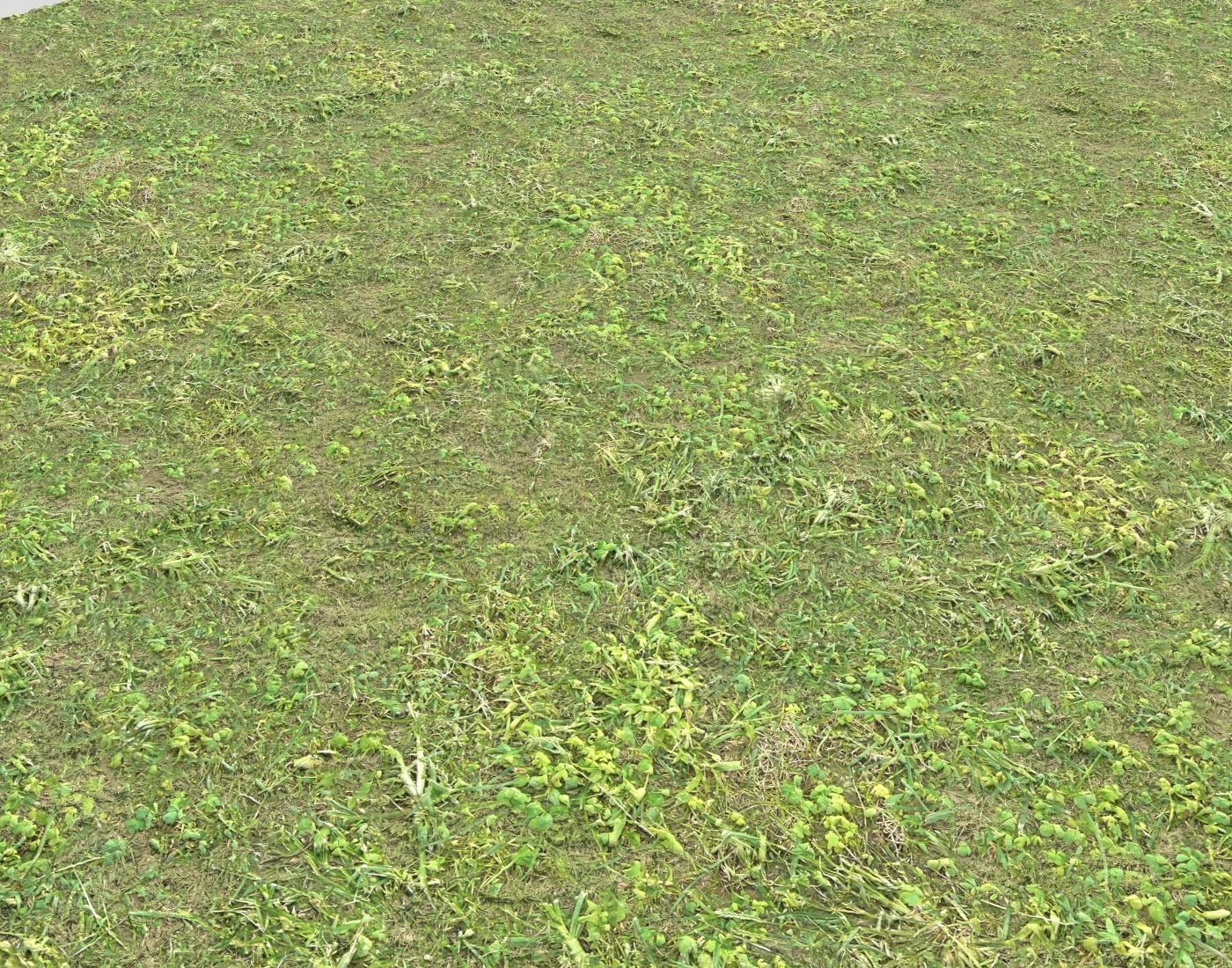 Grass terrain pack 2 Texture | CGTrader