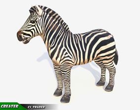 Animated Zebra animal 3D Models | CGTrader
