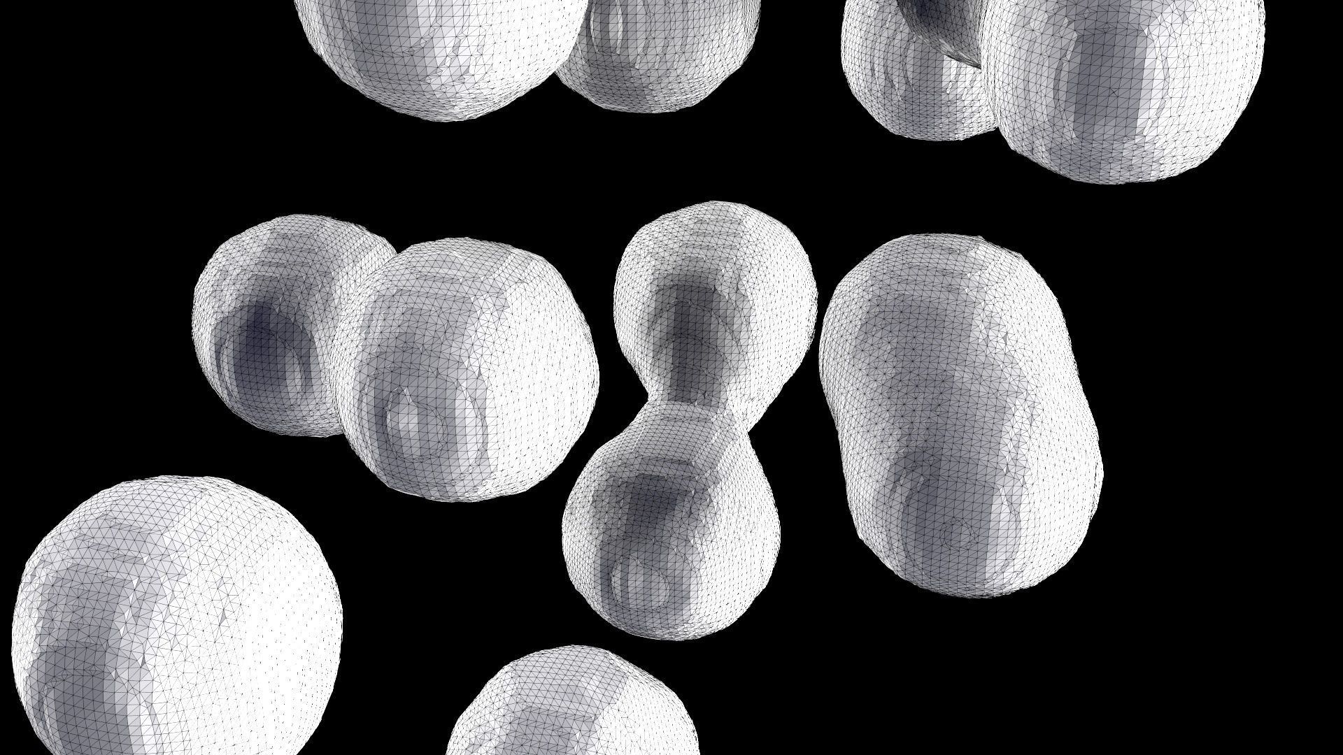 3D model Cell division by mitosis 3D model animated | CGTrader