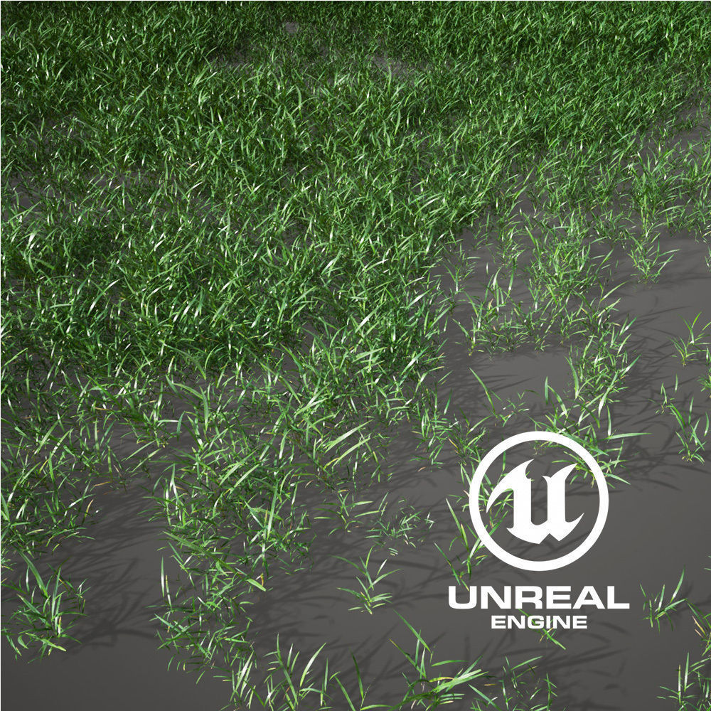3D model Realistic Grass 13 - UE4 Asset and FBX Files VR / AR / low-poly | CGTrader