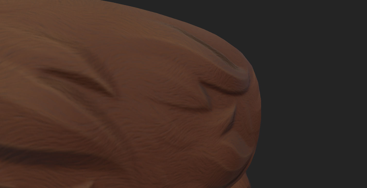 Coonskin Cap 3D model | CGTrader