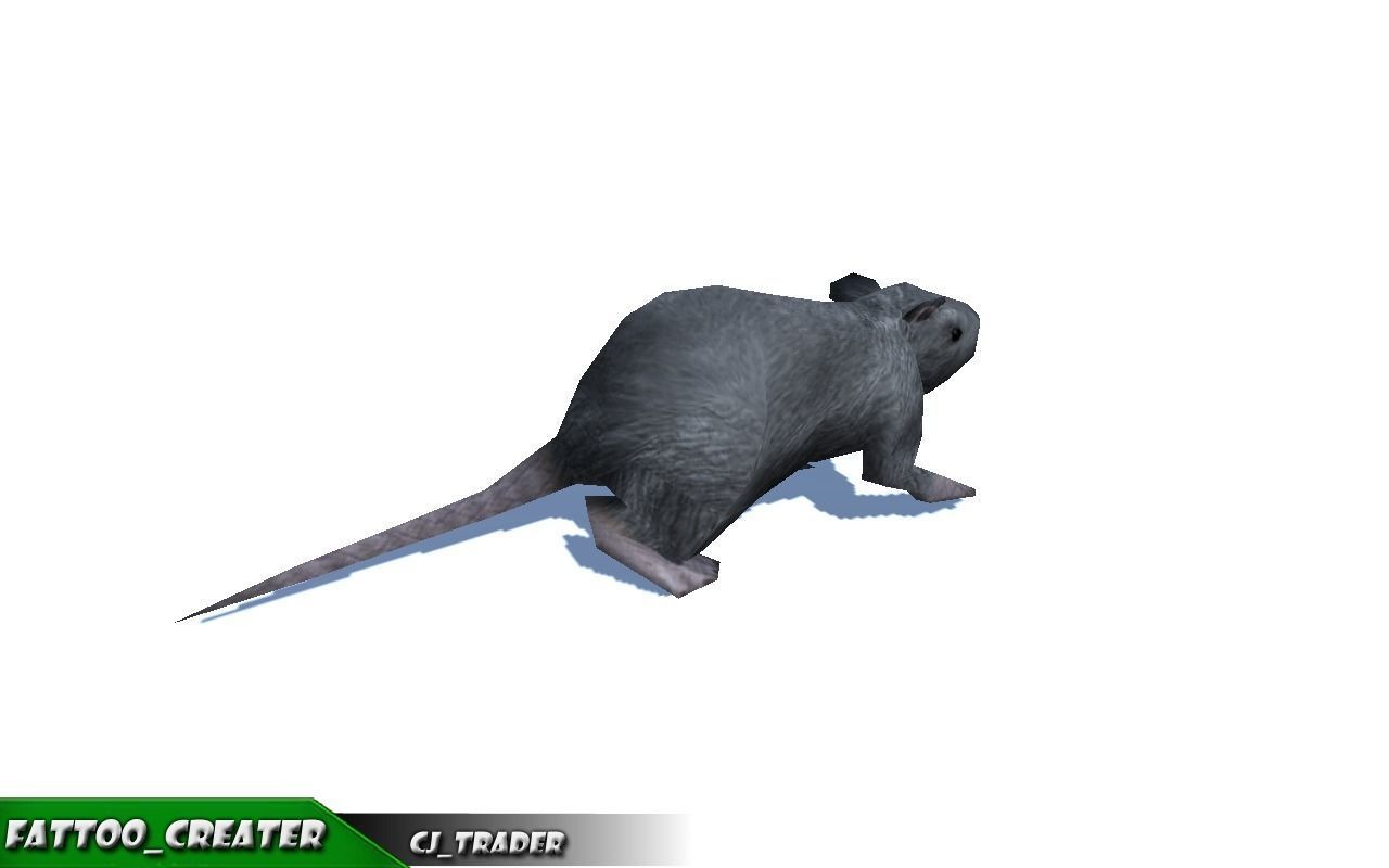 3D model Low-Poly Wild Critter-Insect Rigged Collection Pack VR / AR ...