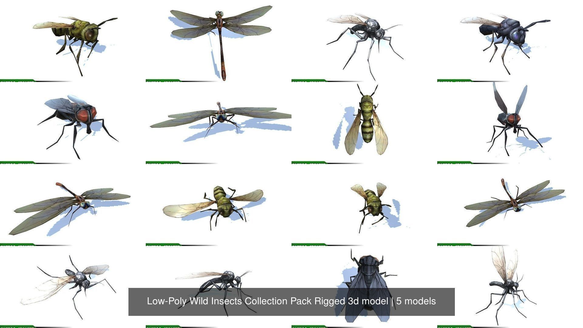 Low-Poly Wild Insects Collection Pack Rigged 3d model VR / AR / low ...