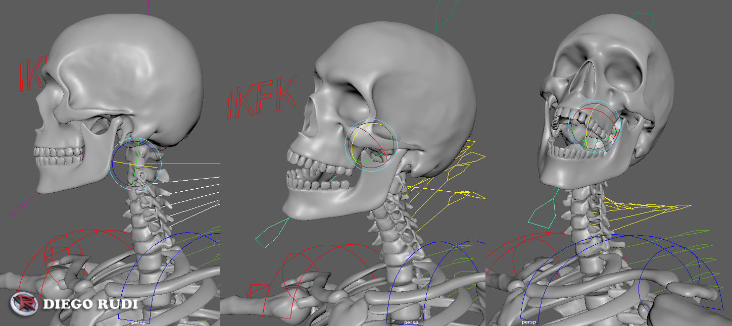3D model Skeleton for animation Maya Rigged VR / AR / low-poly | CGTrader