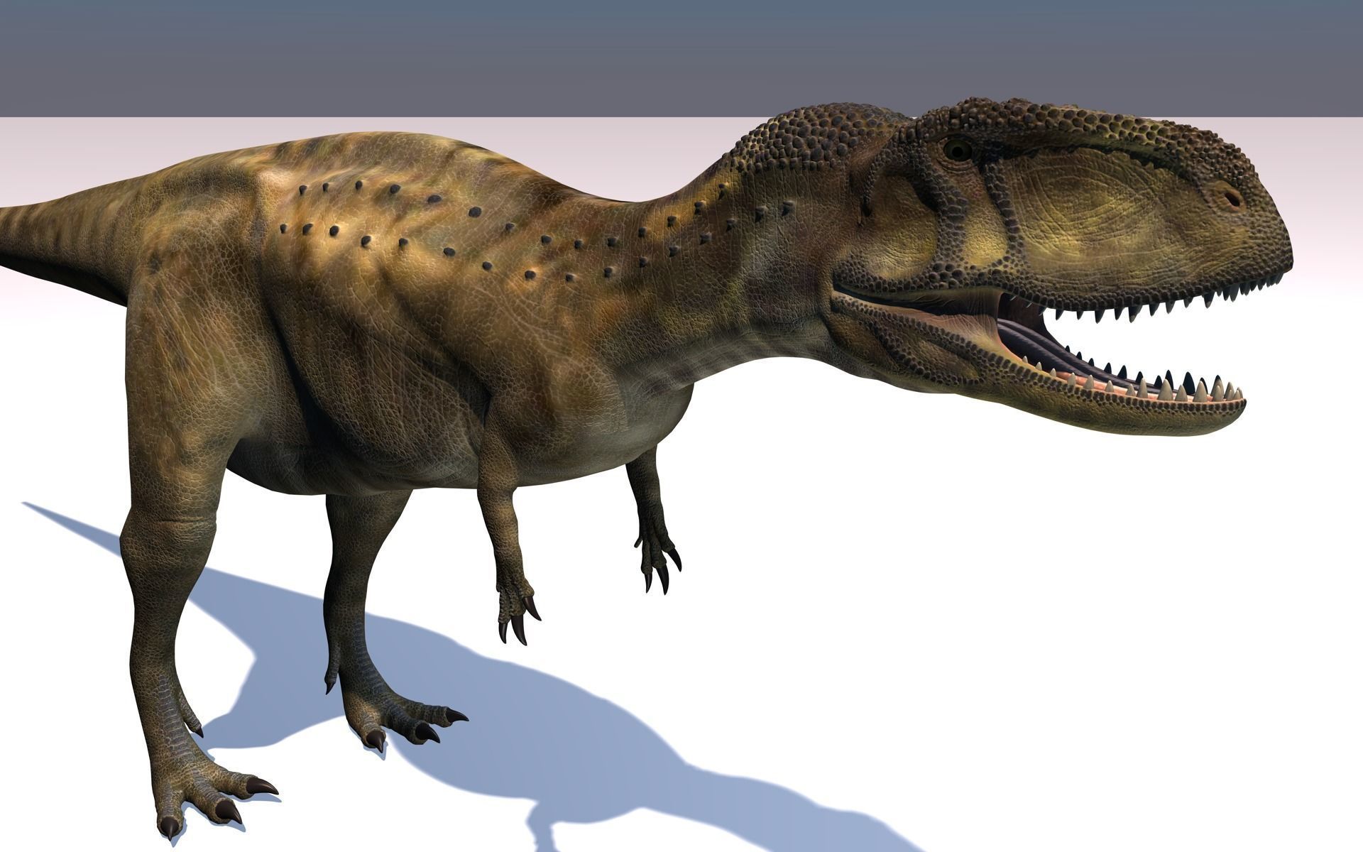 3D rigged Abelisaurus Dinosaur | CGTrader