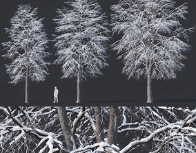Winter tree 3D Models | CGTrader