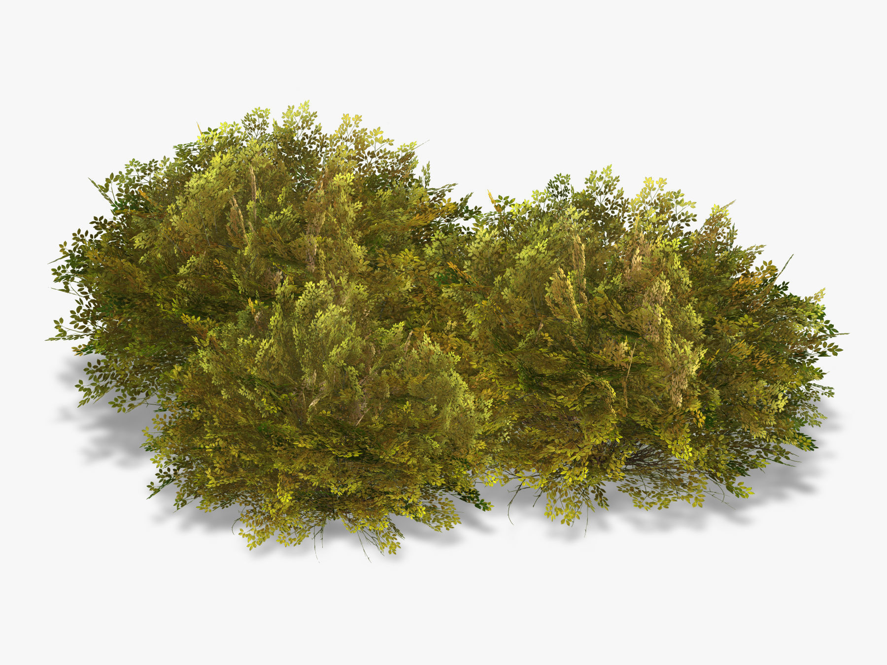 3D model Bush universal 01 VR / AR / low-poly | CGTrader