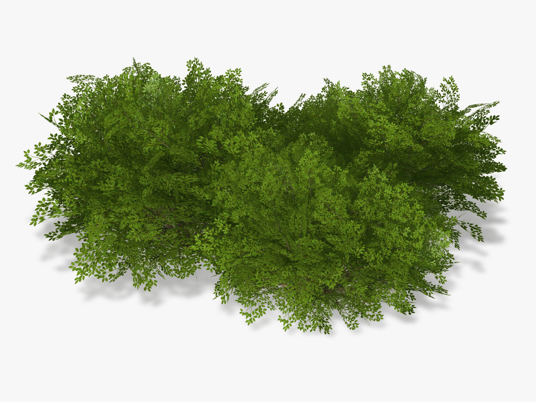 3D model Bush universal 01 VR / AR / low-poly | CGTrader