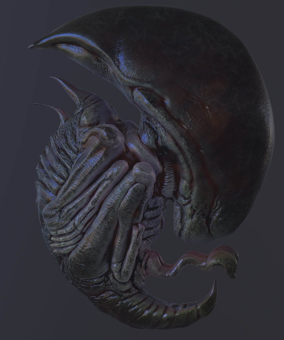 Alien Embryo Marmoset 3D model | CGTrader