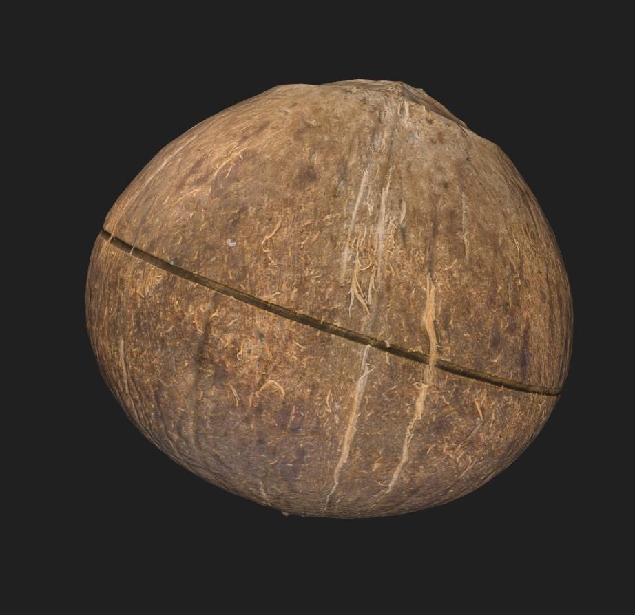 3D model Skinless Coconut VR / AR / low-poly | CGTrader