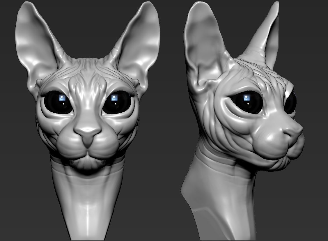 Cat sphynx 3D model 3D printable | CGTrader