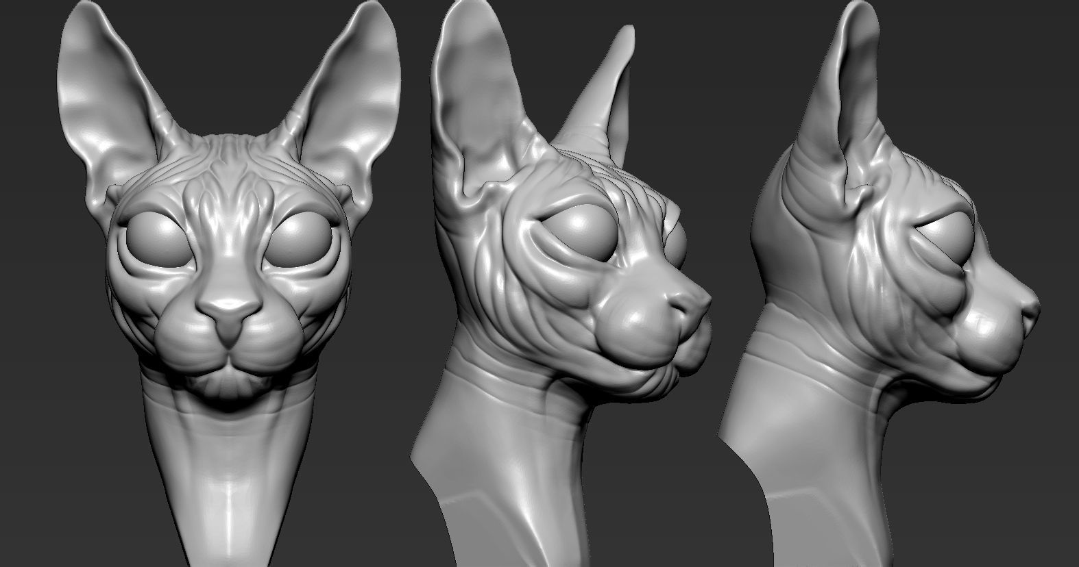 Cat sphynx 3D model 3D printable | CGTrader