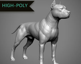 Free High poly 3D Models | CGTrader