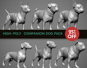 High poly 3D Models | CGTrader
