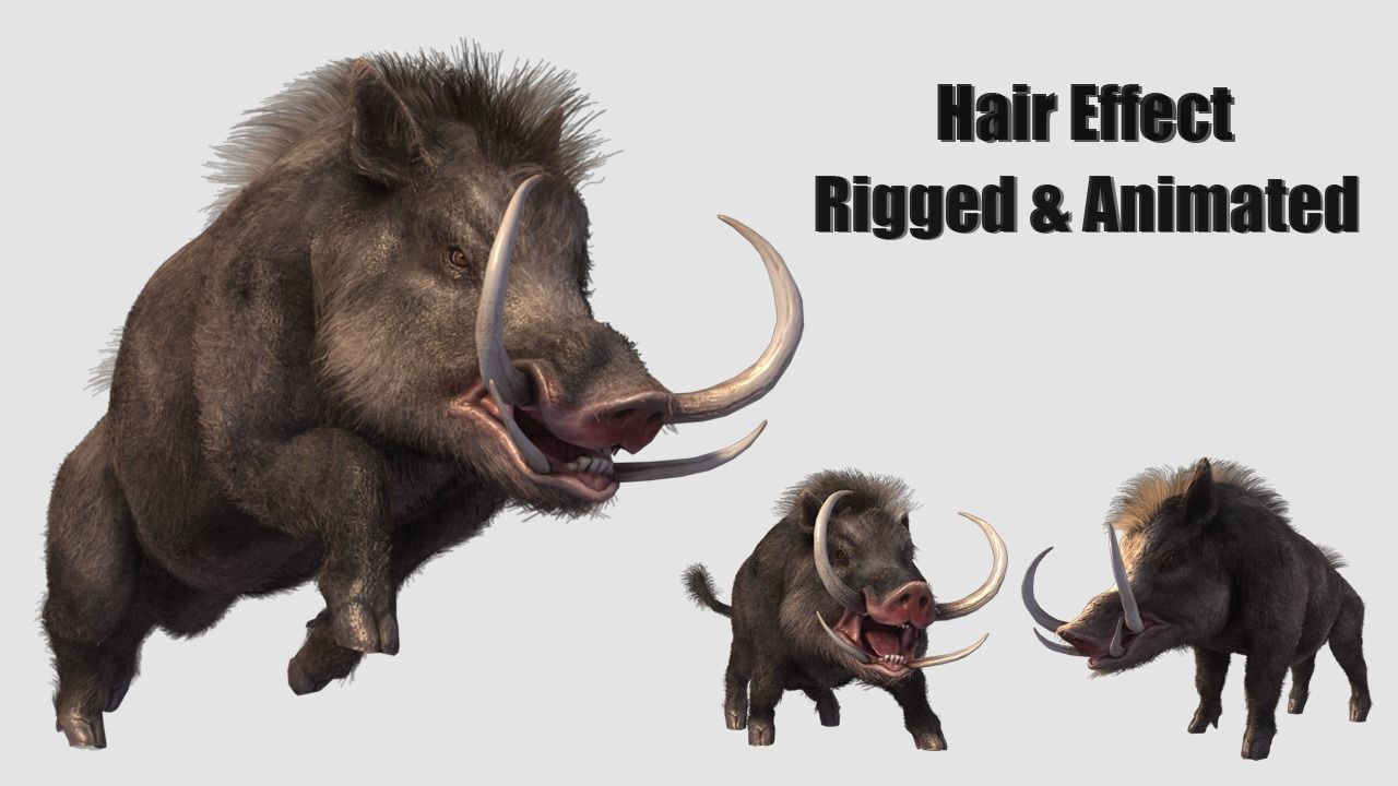 3D model boar pig beast VR / AR / low-poly rigged animated | CGTrader