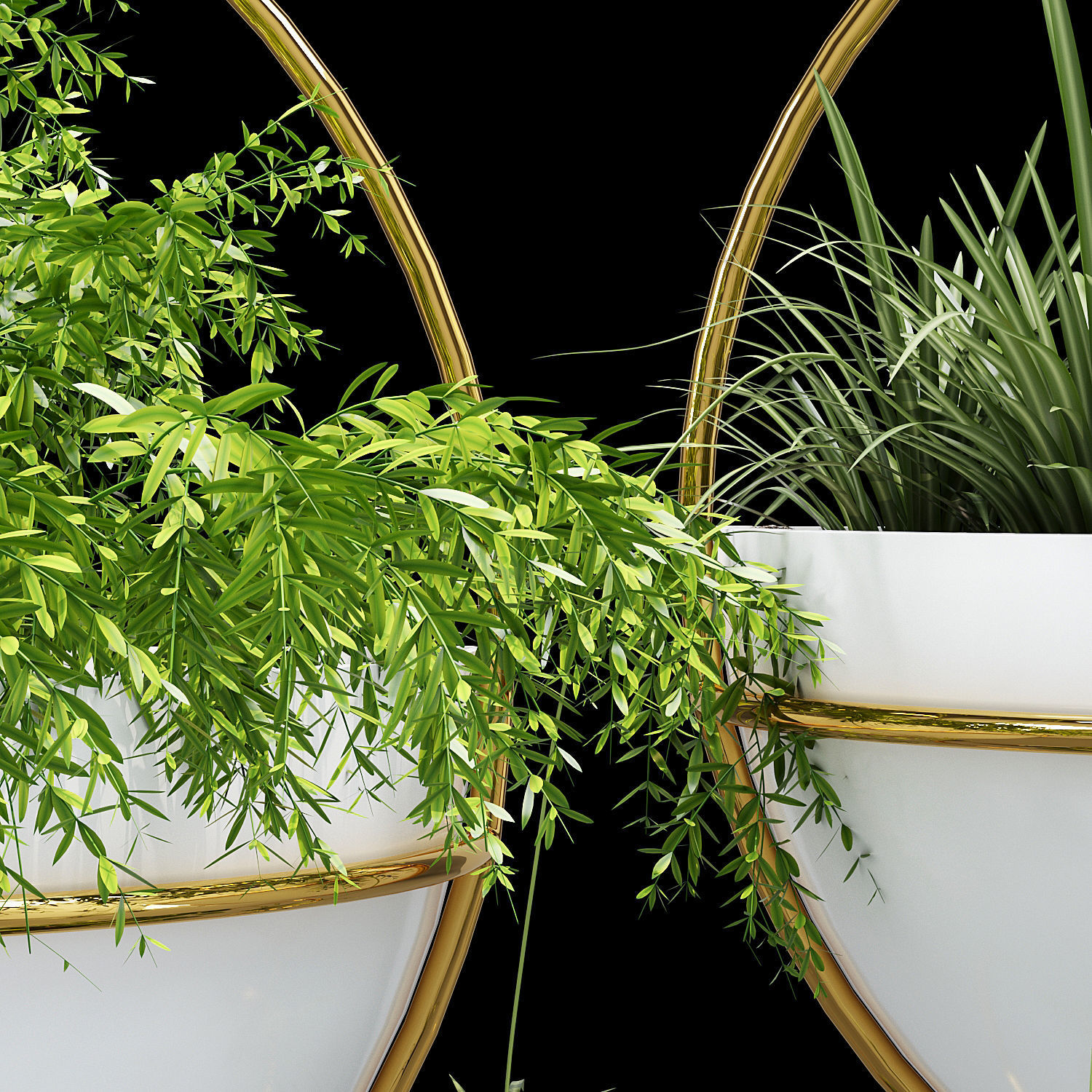 Bigler three plants in circle 3D model | CGTrader