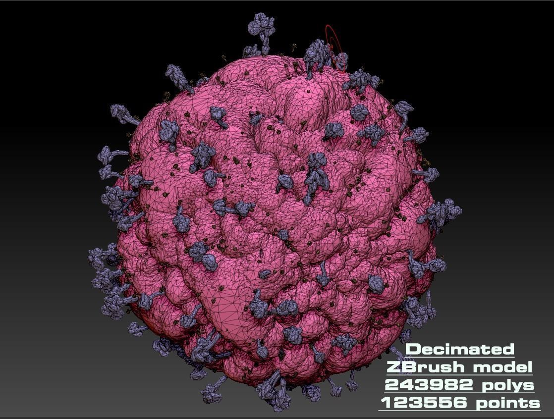 Corona virus scene 3D model | CGTrader
