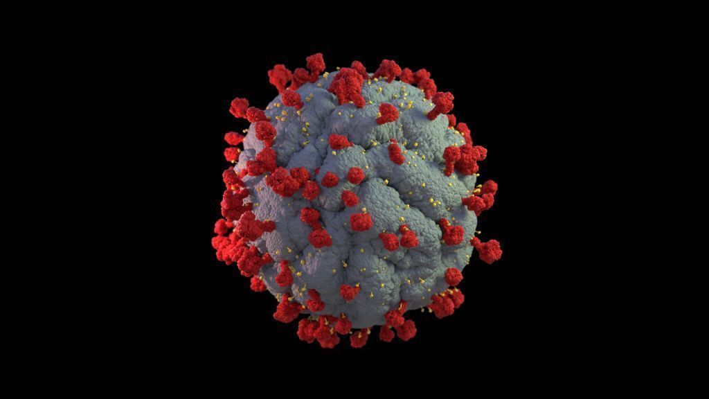 Corona virus scene 3D model | CGTrader